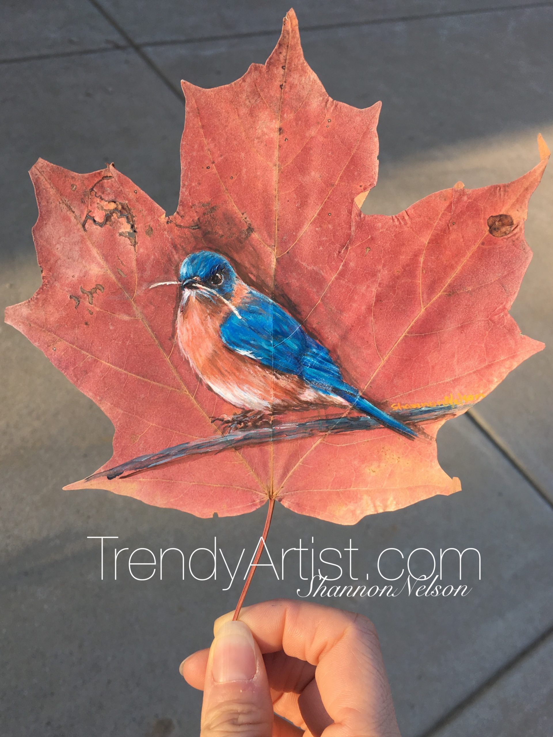 Unique Canvases - trendyartist.net